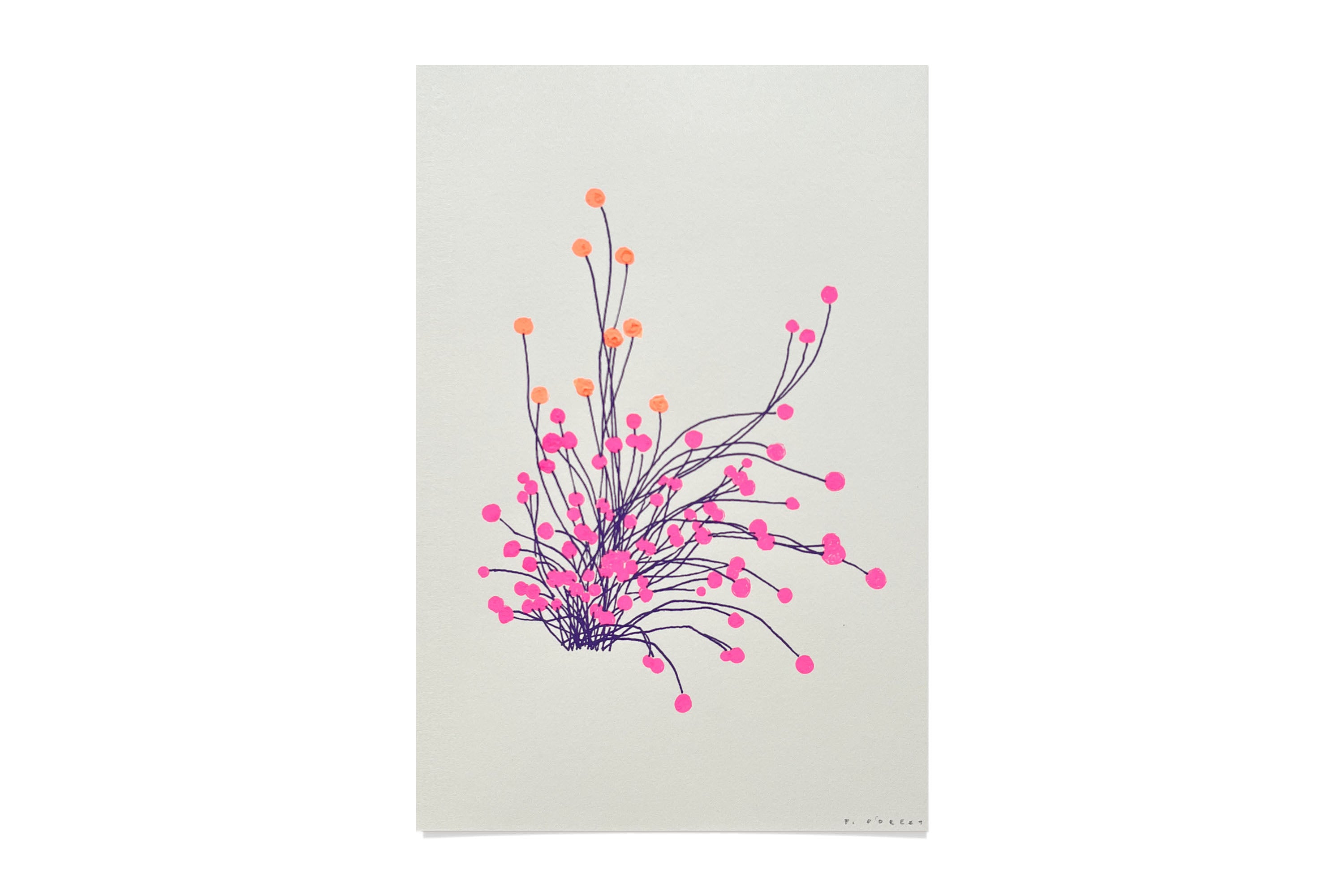 Constellation — 1 – Frederic Forest